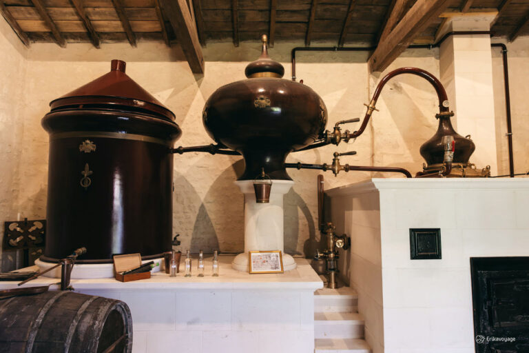 Top 10 des distilleries de cognac à visiter en Charente | Blog voyage